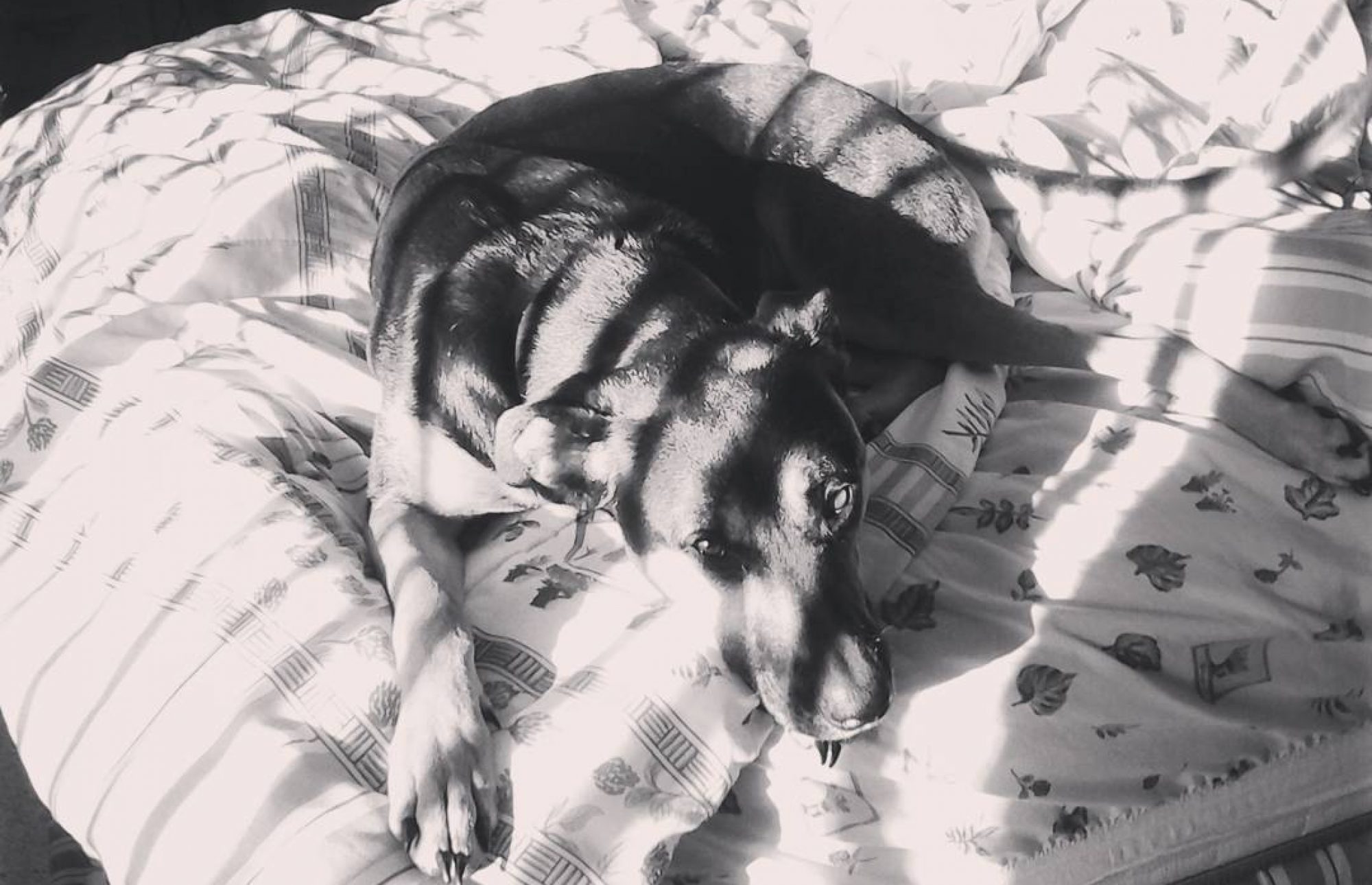 About Me - Brighter Pathways